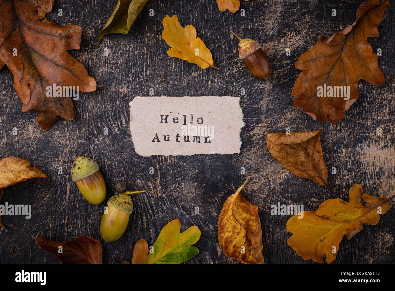 Autumn background with dry leaves Stock Photo - Alamy