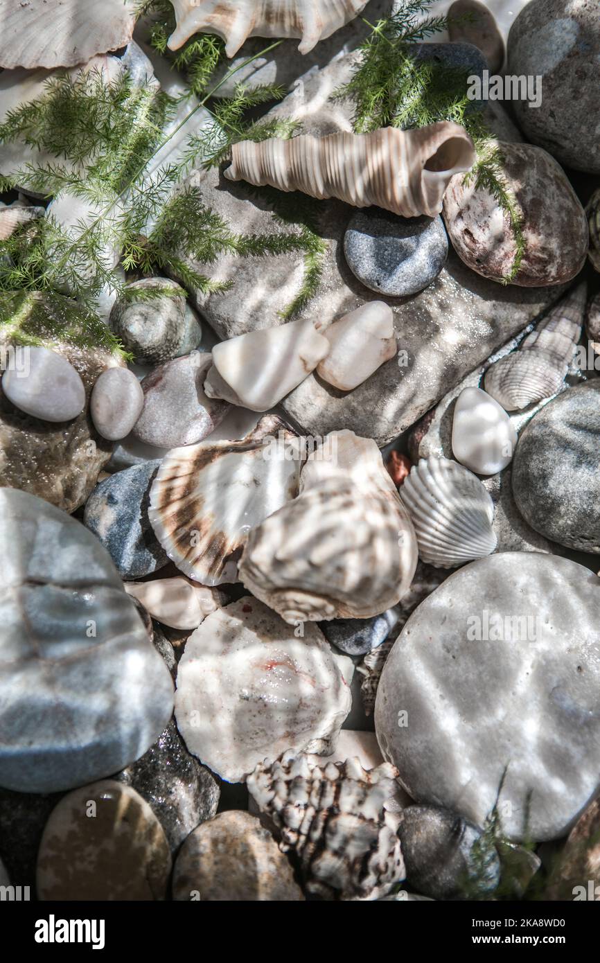surface of water above bottom with white stones and shell. Rare drops ...