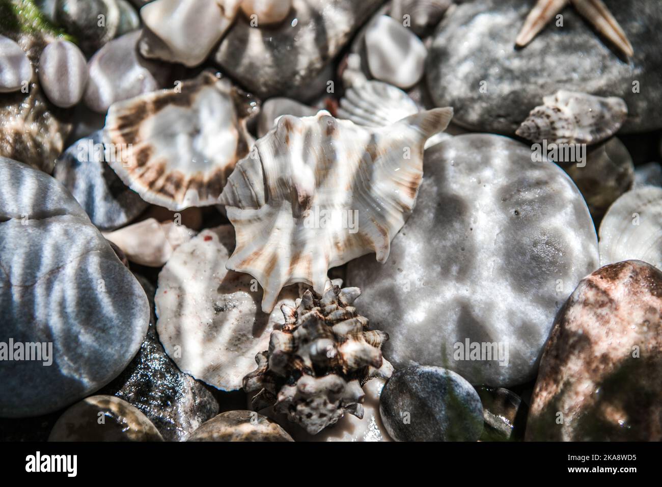 surface of water above bottom with white stones and shell. Rare drops ...