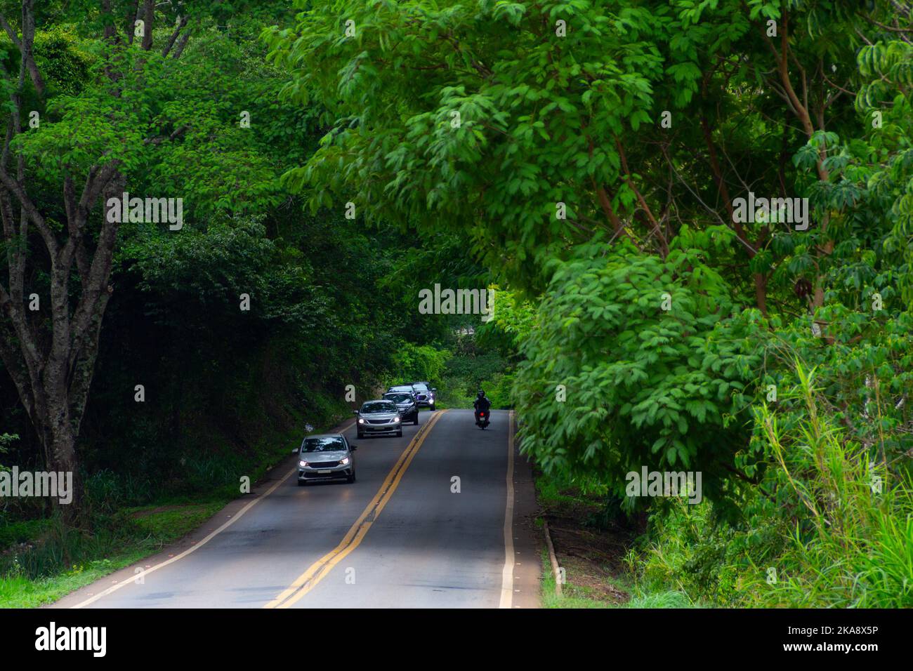 Landscape of a stretch of Highway GO-462, with some cars on the way, in ...