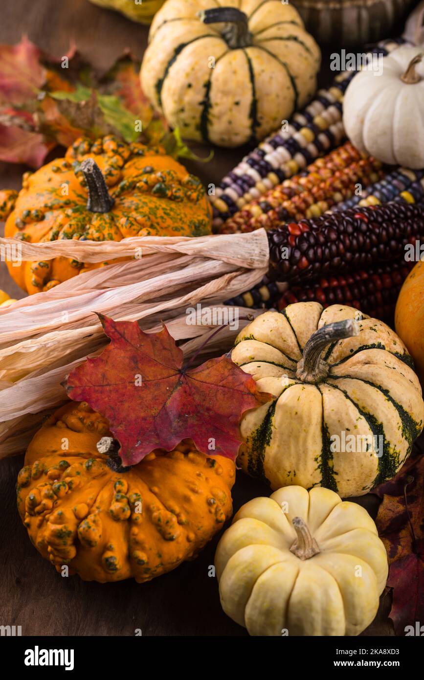 Still life with pumpkin hi-res stock photography and images - Alamy