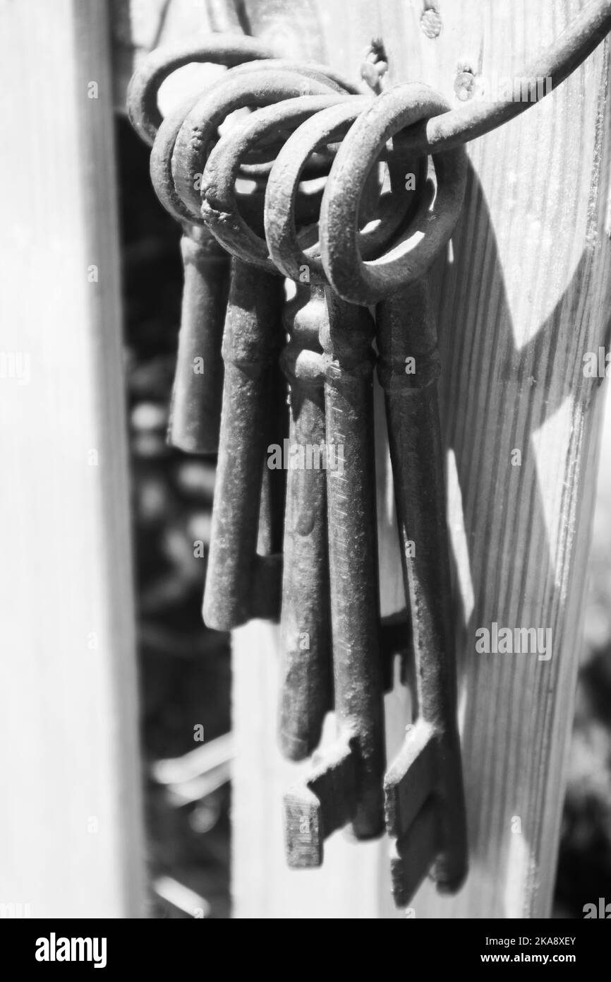 A vertical grayscale of rusty antique key set Stock Photo - Alamy