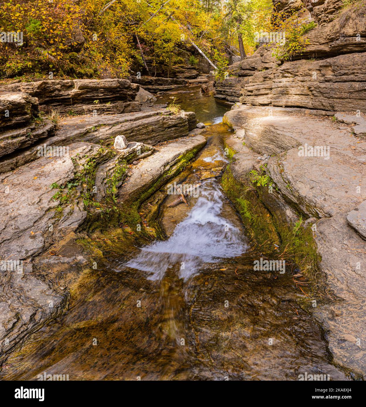 Small Creek Flowing Under Eroded Cliffs With Fall Color, Devils Bathtub ...