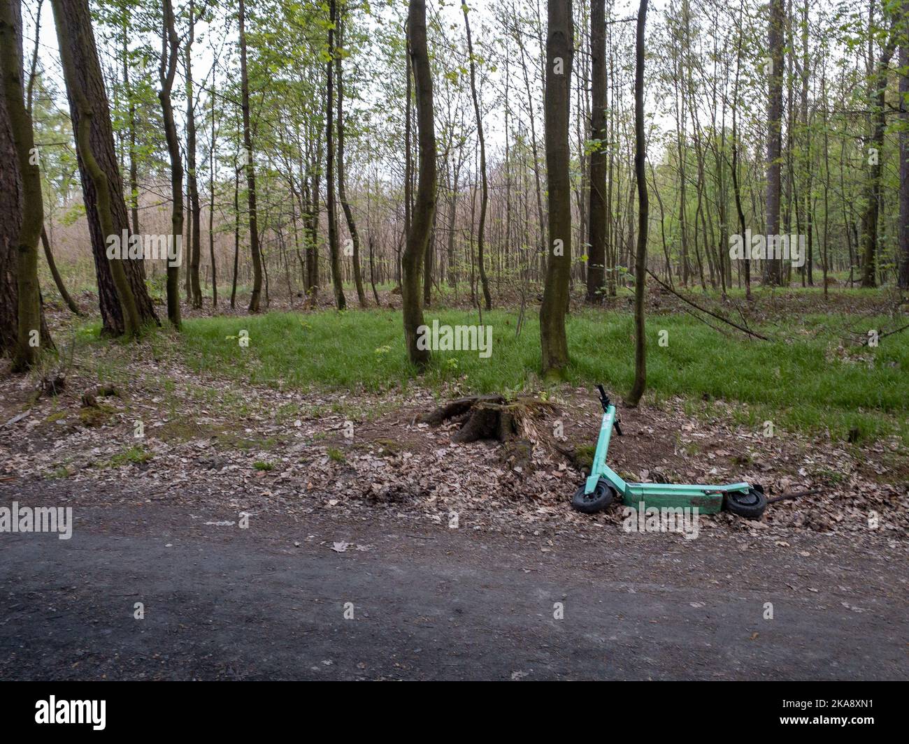 A green electric scooter dumped in the woods during the day Stock Photo ...