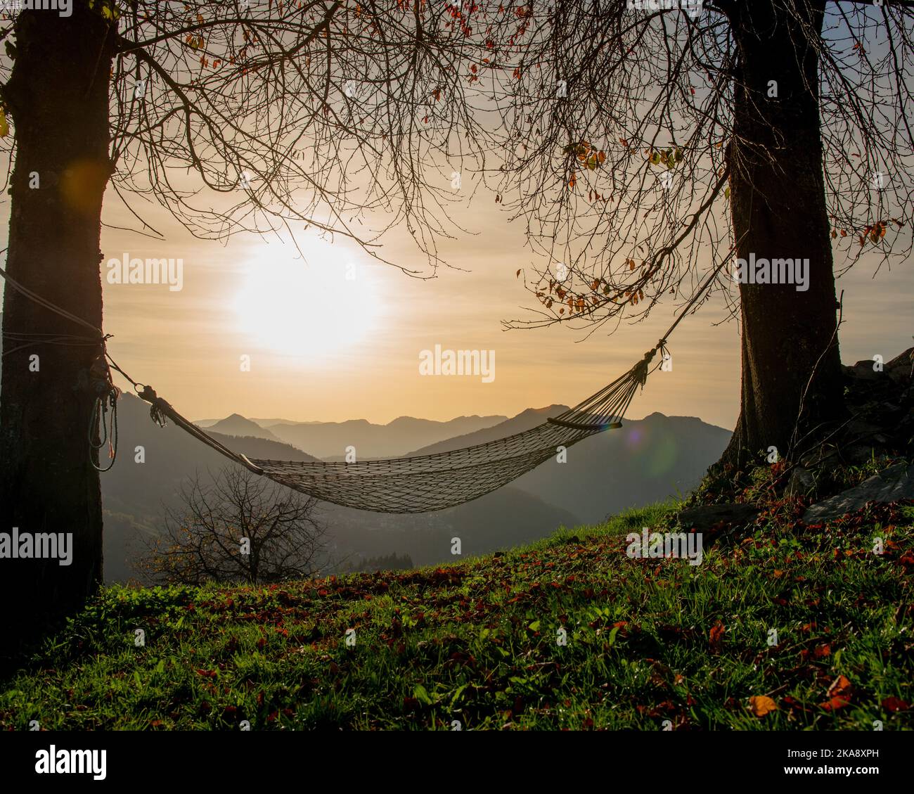 Hammock suspended between two trees at sunset Stock Photo - Alamy