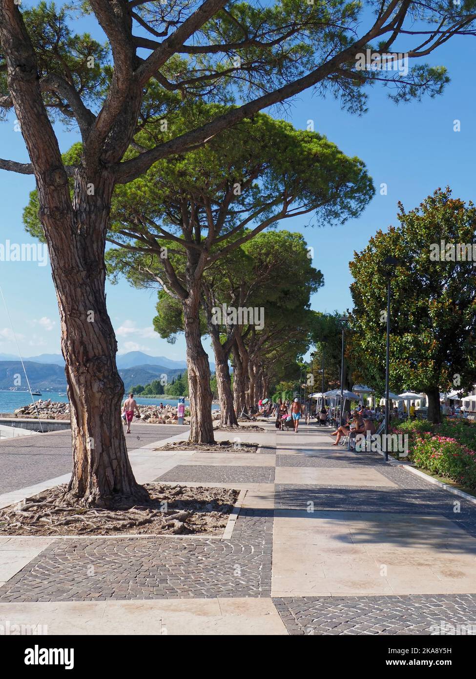 lake side promenade shaded by trees, Lazise, Lake Garda, Italy,Europe ...