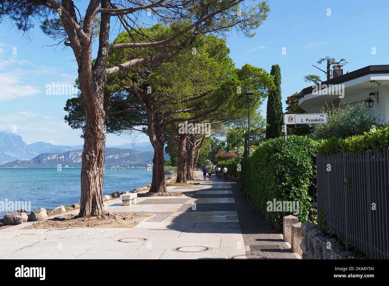 lake side promenade shaded by trees, Lazise, Lake Garda, Italy,Europe ...