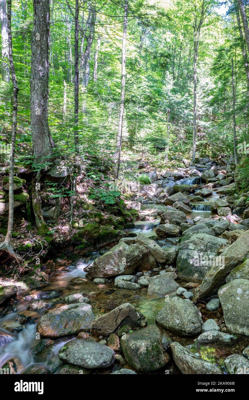 Early summer flow hi-res stock photography and images - Alamy