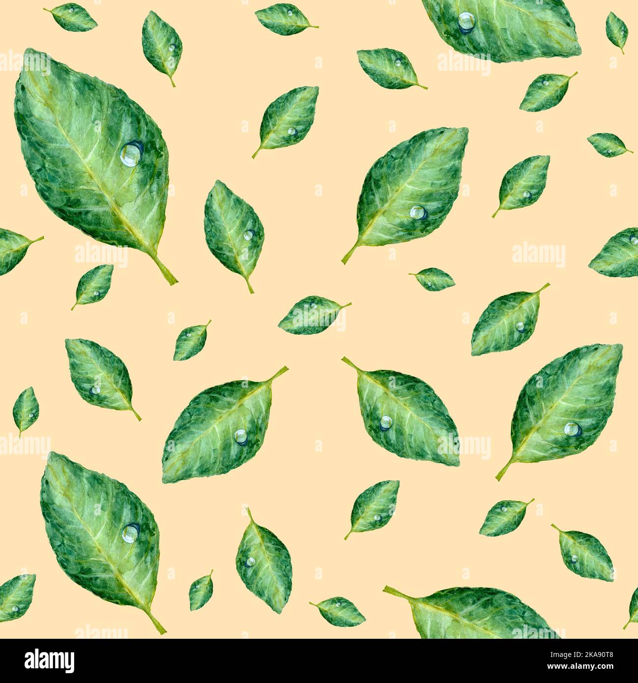 Seamless leaf hi-res stock photography and images - Alamy