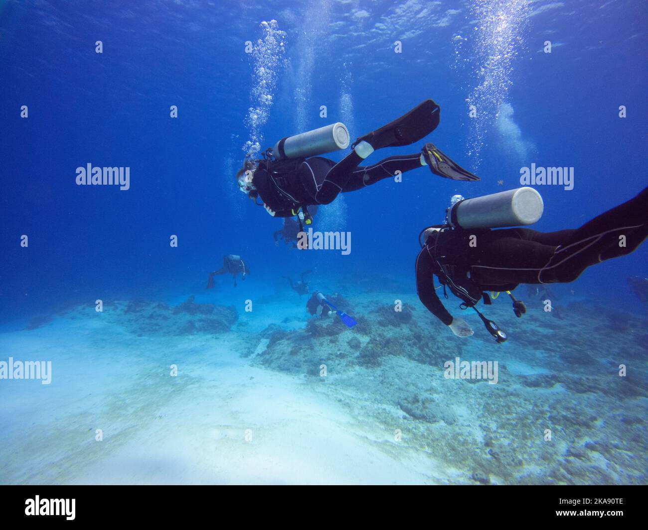 A scenic view of a group of people scuba diving in Cozumel, Mexico ...
