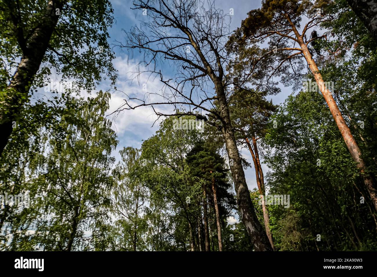 Ekeberg park hi-res stock photography and images - Alamy