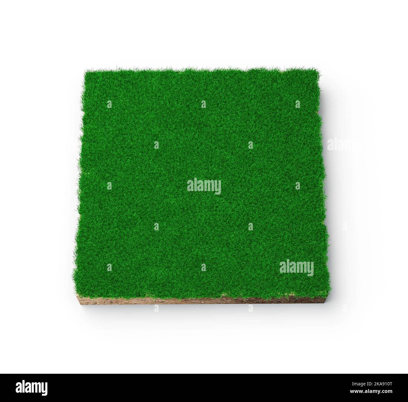 A 3D illustration of a square of a green grass field isolated on a ...