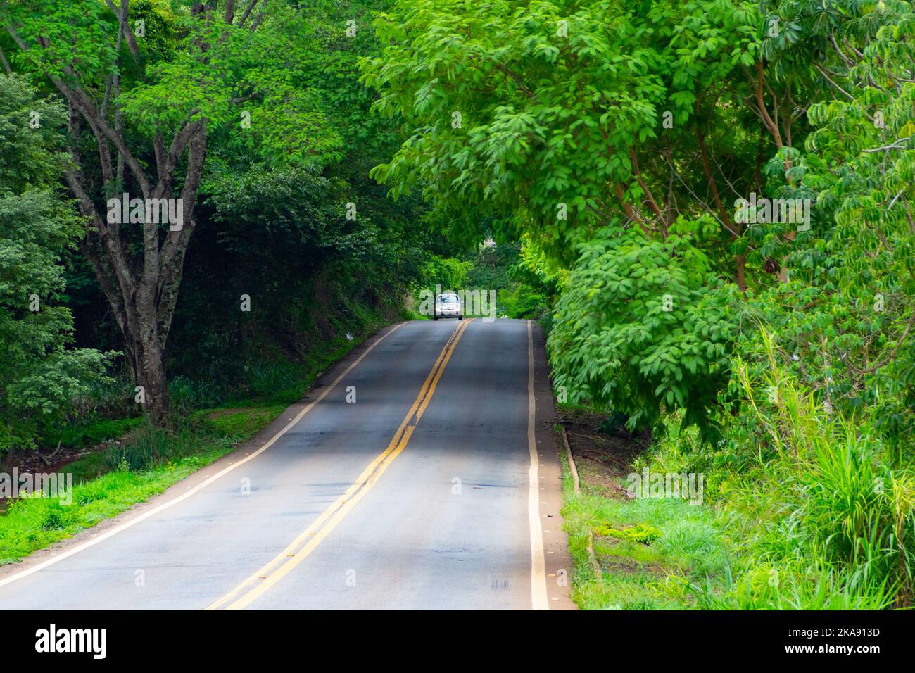Asphalt leaves hi-res stock photography and images - Alamy