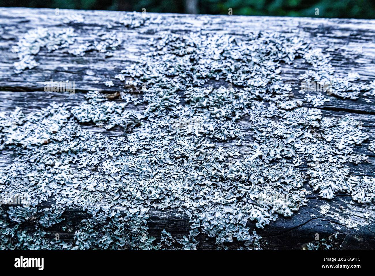 Grorud hi-res stock photography and images - Alamy