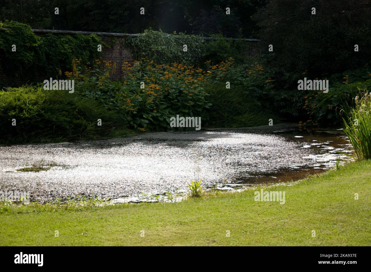 Wallington public hall hi-res stock photography and images - Alamy