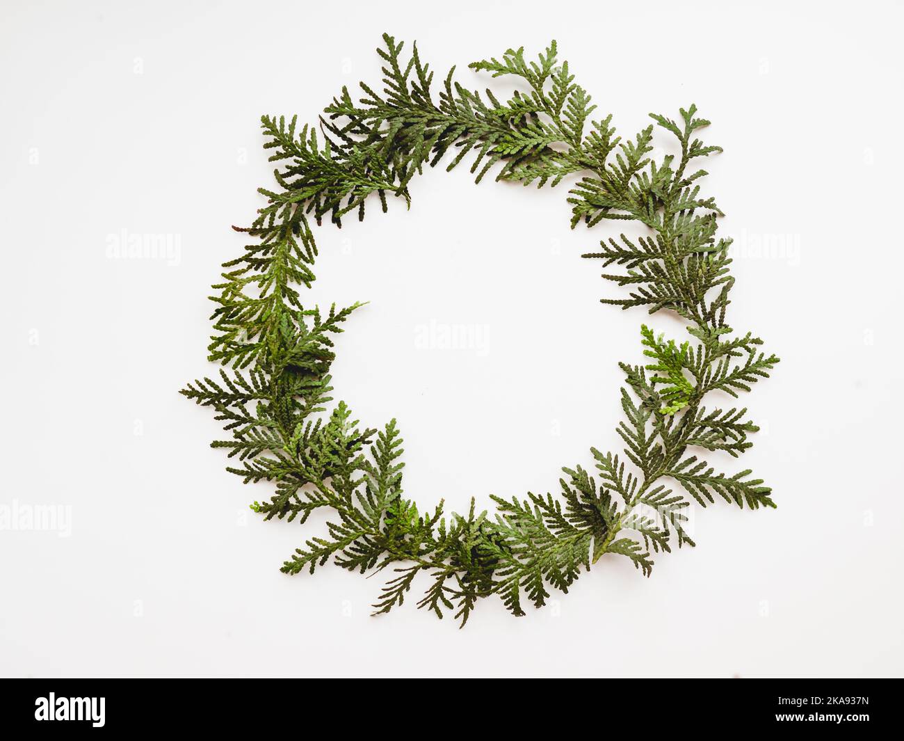 Circle wreath of twigs of thuja. Symbol of Christmas celebration and ...