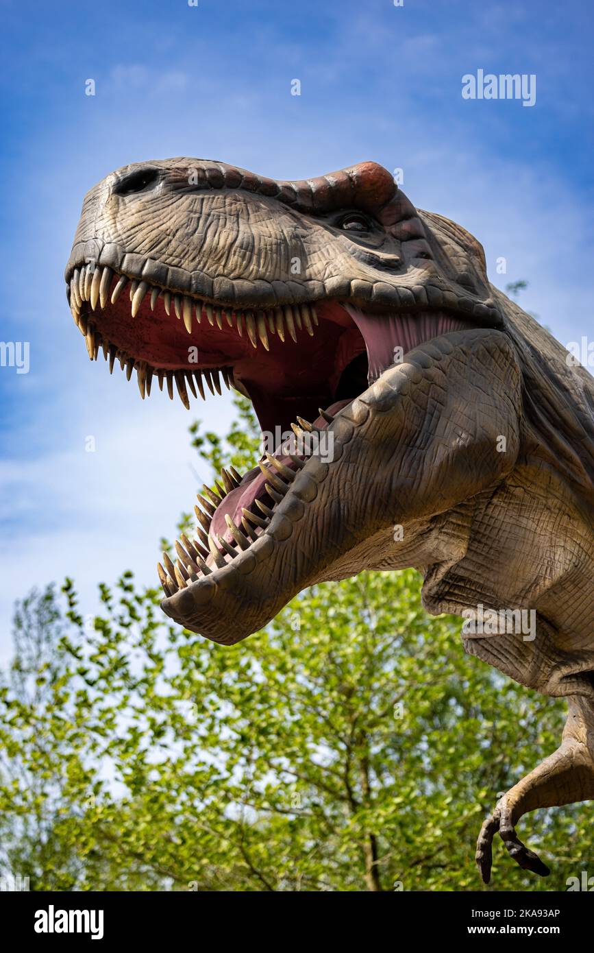 A big scale Tyrannosaurus or T rex anamotrainic in Dierenrijk Zoo ...