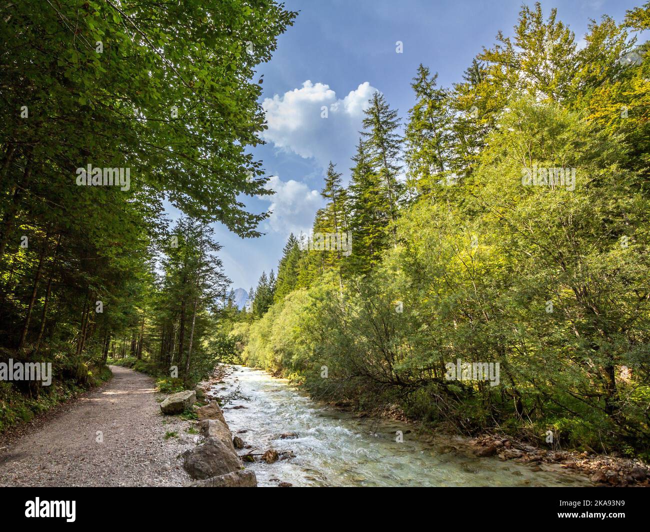 Picture of a typical alpine mountain path in the julian alps in the ...