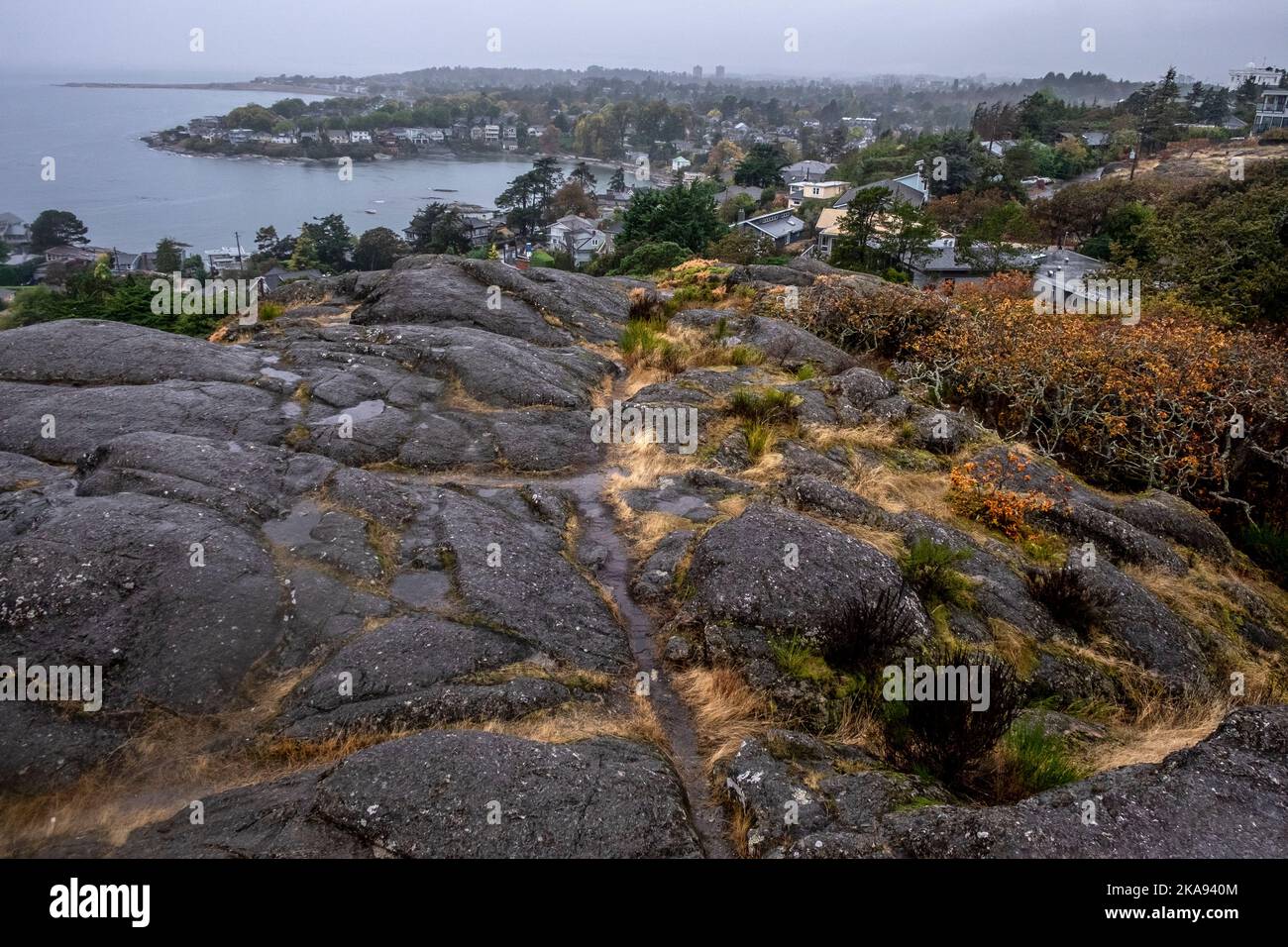 Rainy October weather, Walbran Park, Victoria, British Columbia, Canada ...