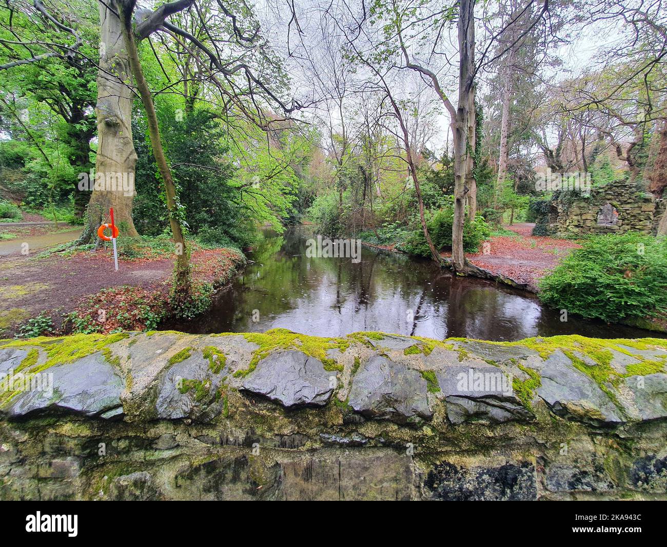A beautiful landscape of a small river in the park Stock Photo - Alamy