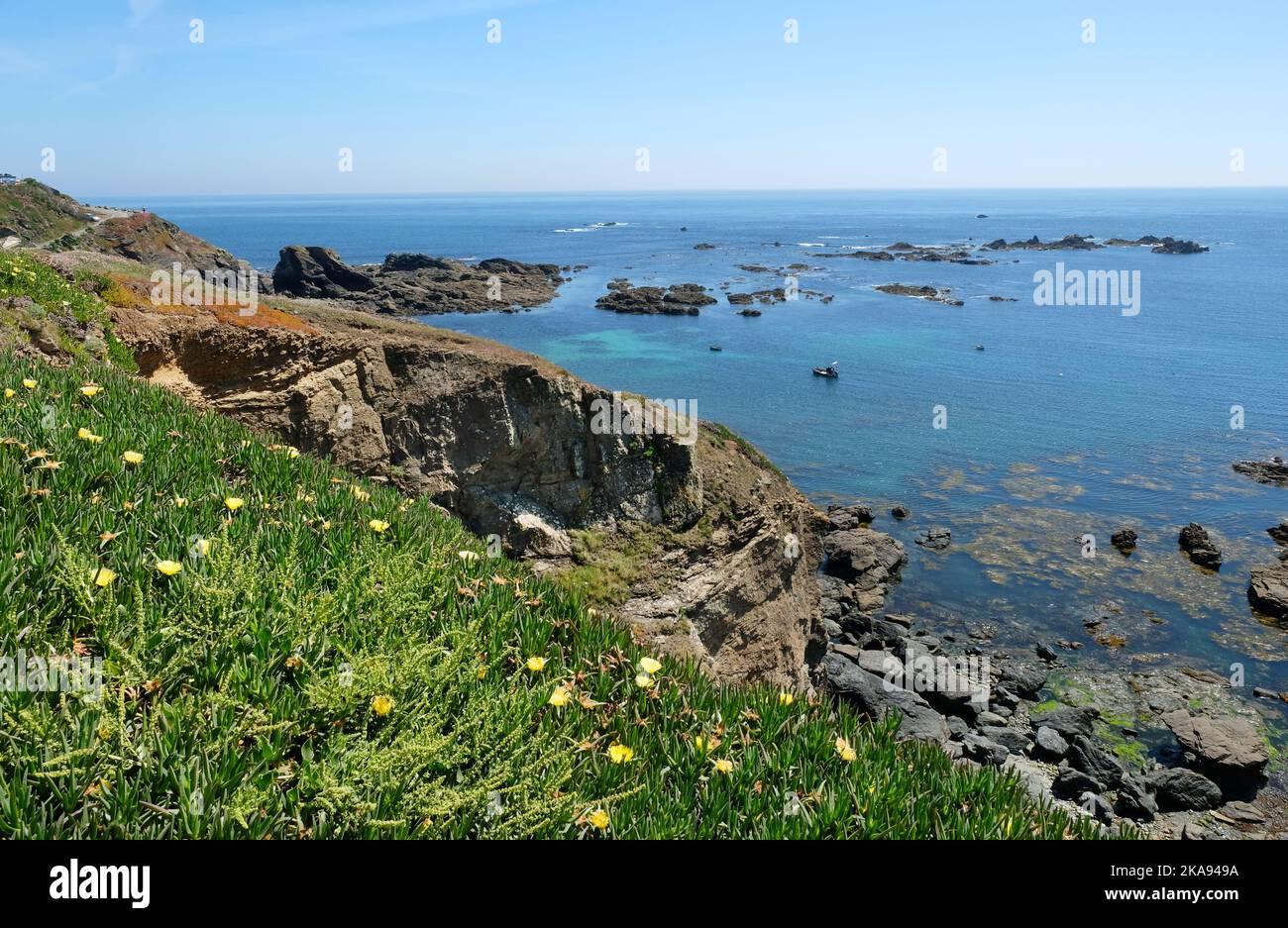 The Cornish coast at the Lizard Point, Cornwall, UK - John Gollop Stock ...