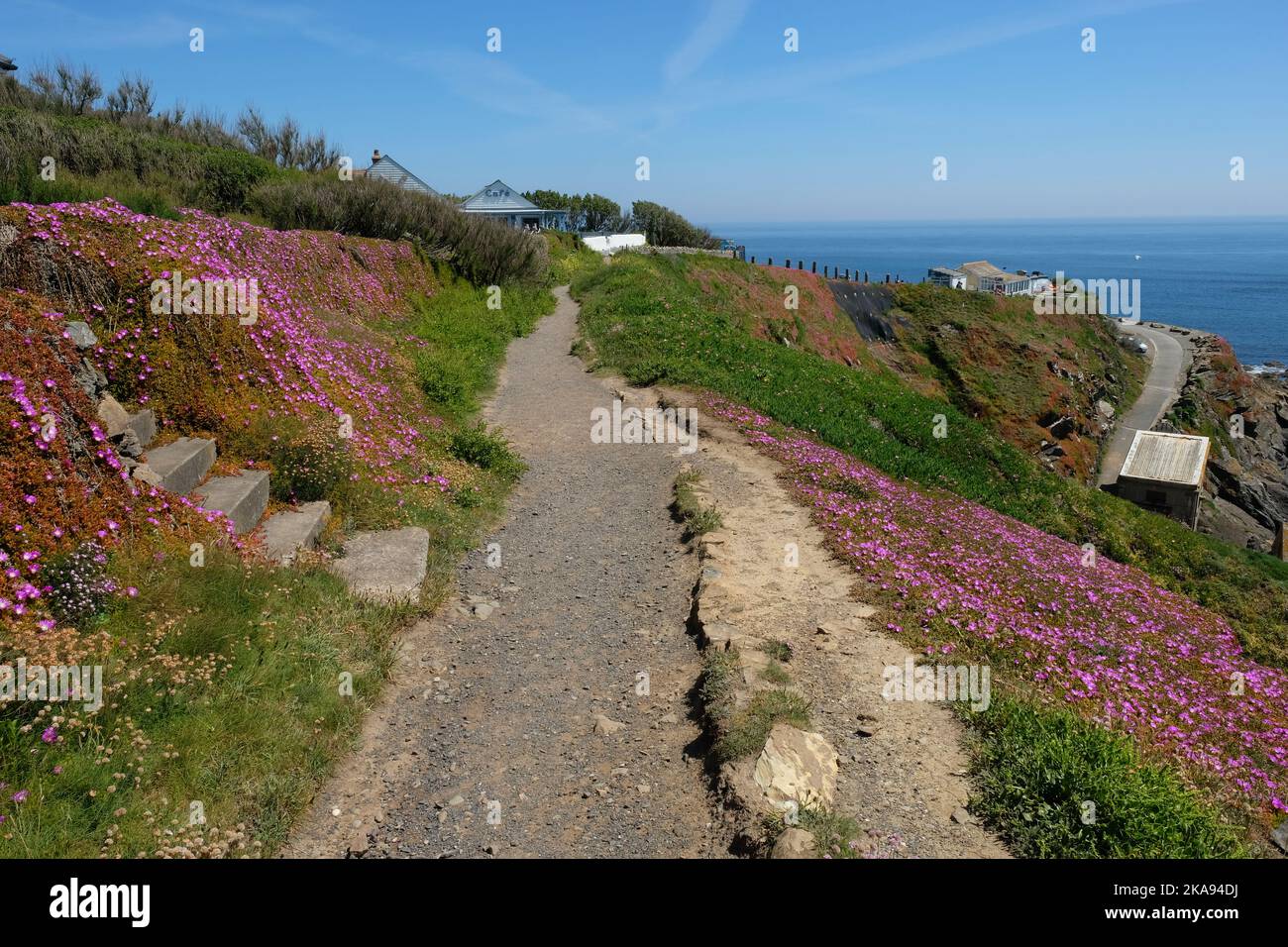 The South West Coast Path at the Lizard Point, Cornwall, UK - John ...