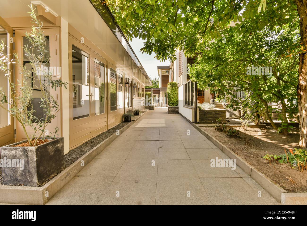 View of street near building with beauty of vegetation outside Stock ...