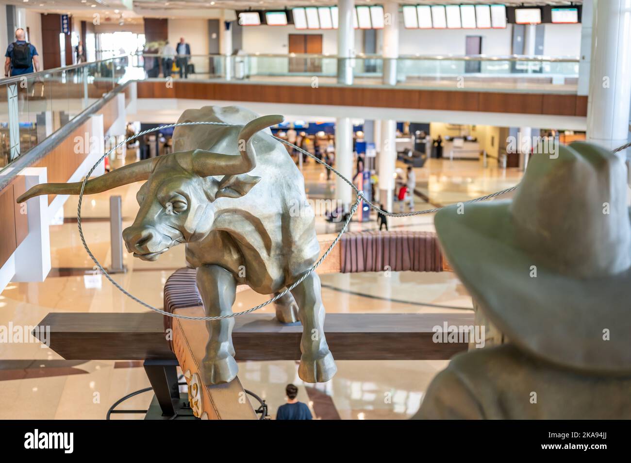 Dallas, Texas, US - 10.2022 - Statue of a cowboy running cattle in the ...