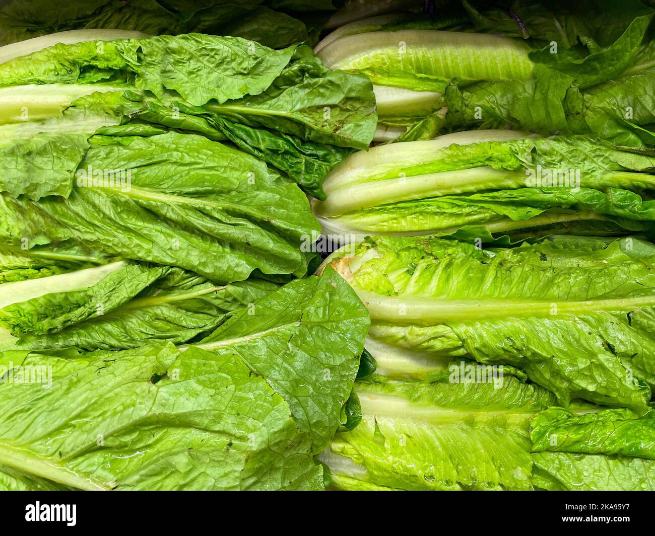 Produce aisle lettuce hi-res stock photography and images - Alamy