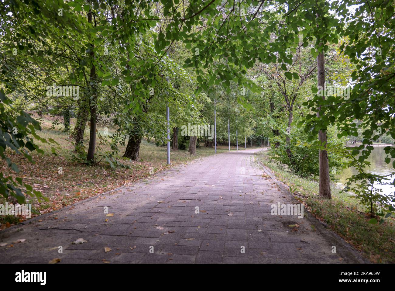 View on a path lined with trees, along the lake in the Bordei Park ...