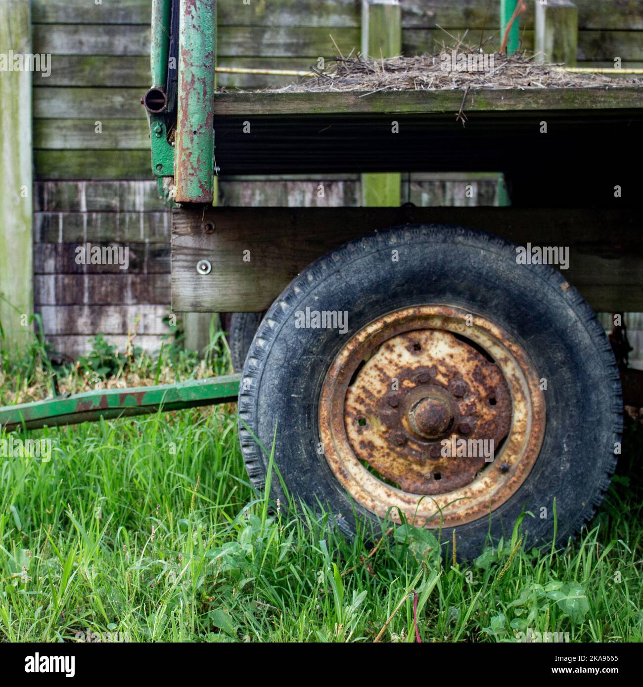A closeup of a rusty wheel of a truck parked in front of a barn Stock ...