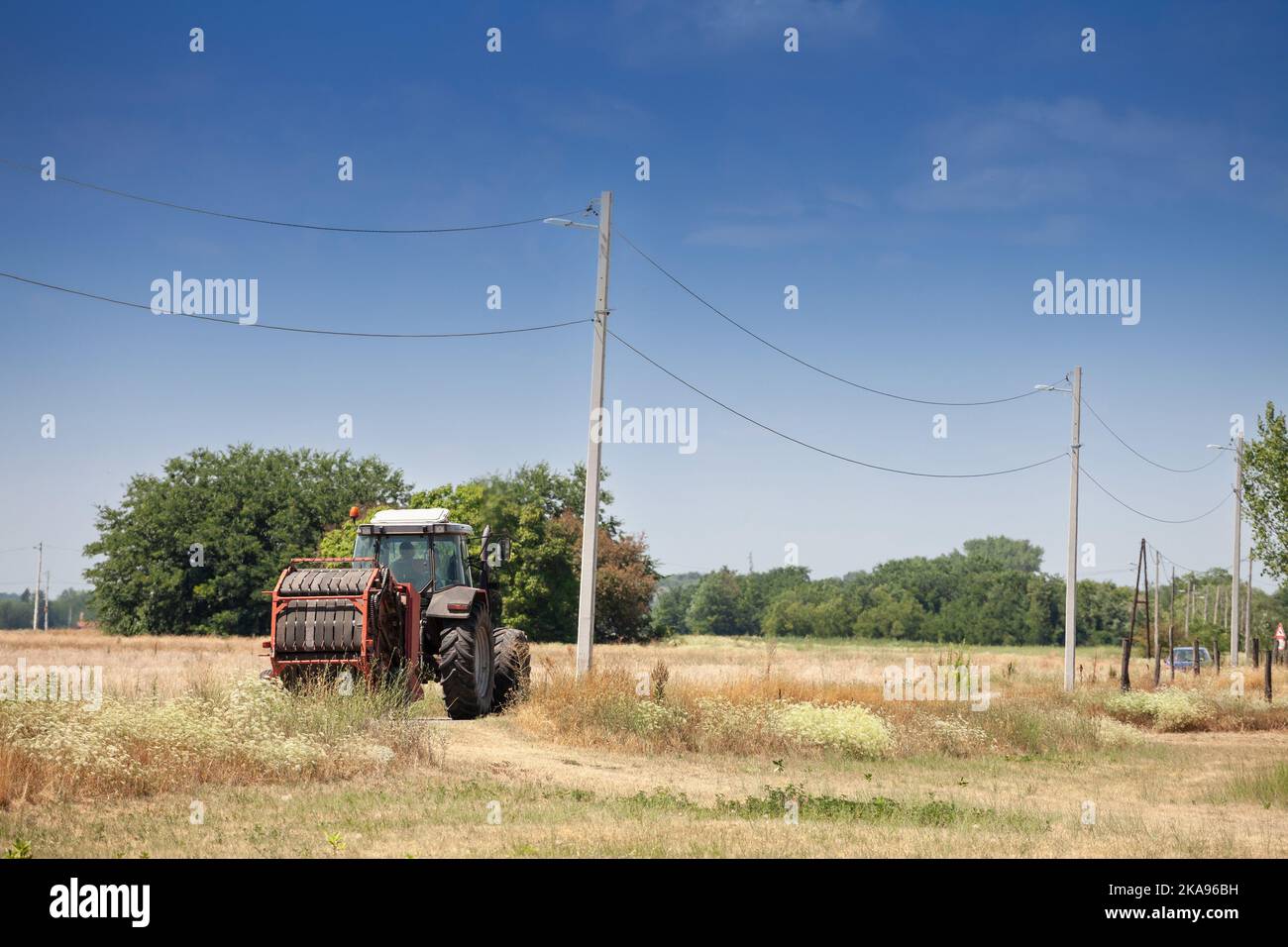 Picture of an agricultural landscape in Subotica, Serbia; with a ...