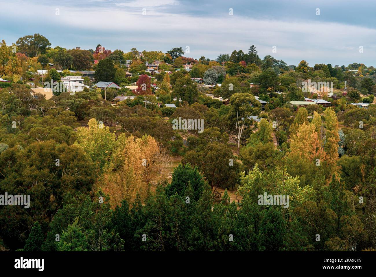 An aerial view of green trees and a village the near Beechworth Gorge ...