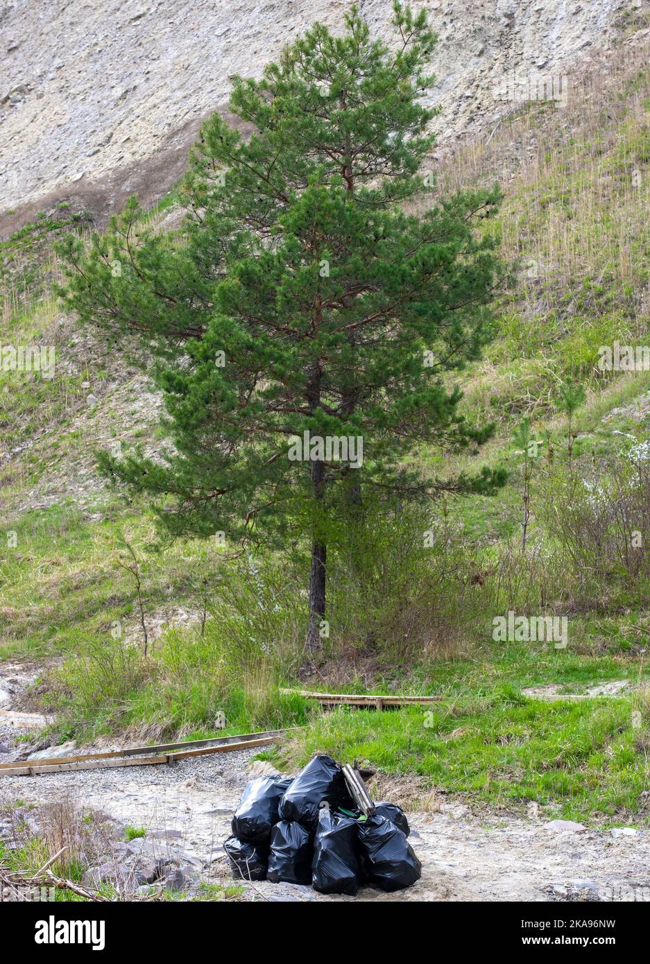 Garbage bags collected from nature, recycle, pollution Stock Photo - Alamy