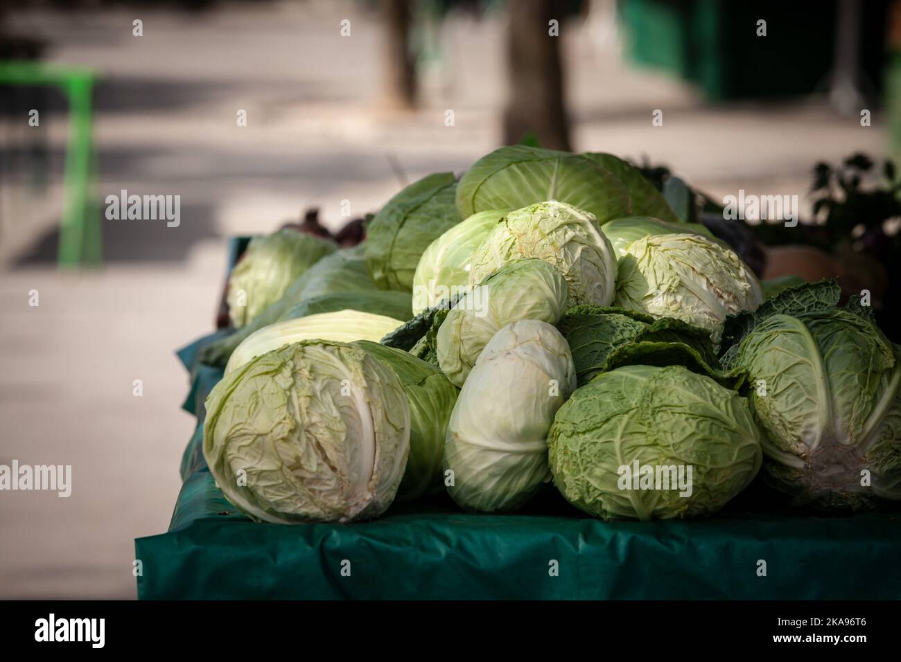 Picture of a pile of Cabbages for sale in a market in Ljubljana ...