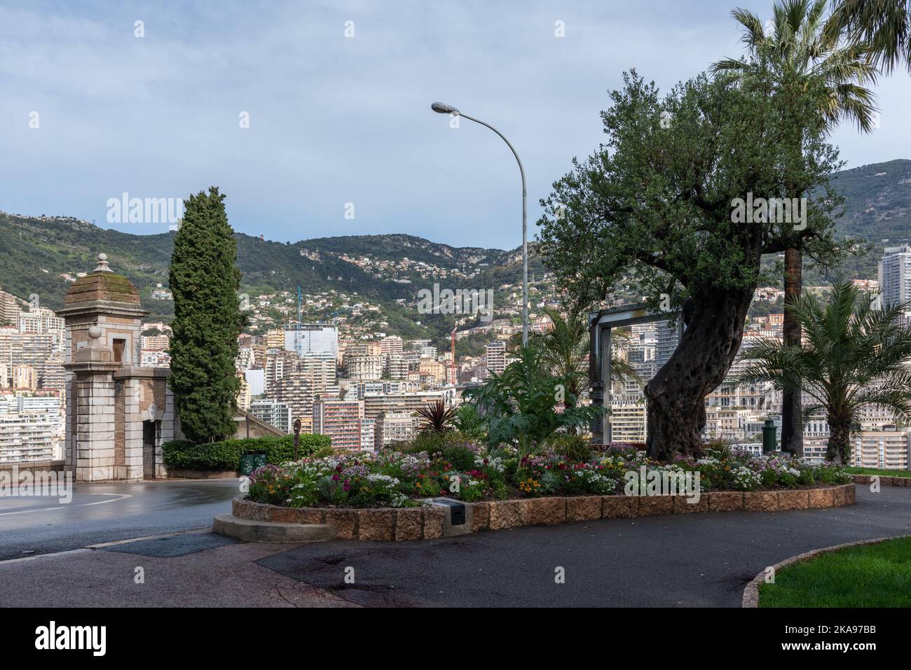 The view of the garden plants with city buildings against the green ...