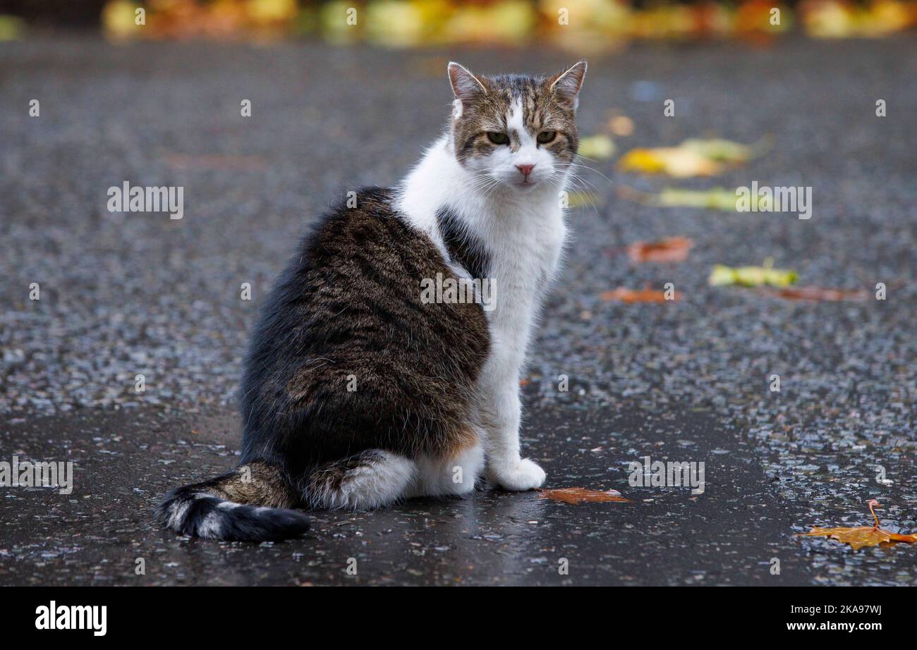 Rishi sunal hi-res stock photography and images - Alamy
