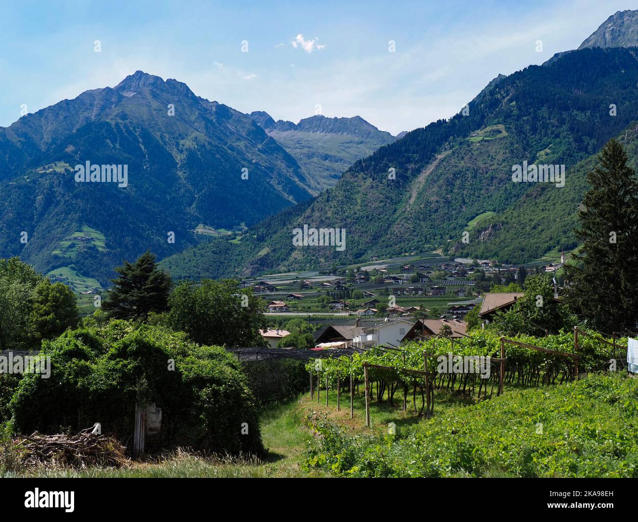 beautiful mountain landscape near Glurns / Glorenza, South Tyrol ...