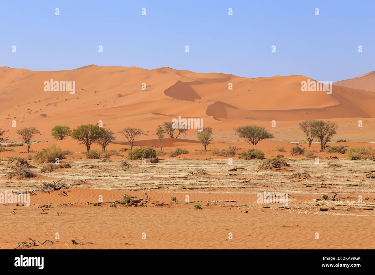 Amazing View from the dune to the salt pan of Sossusvlei. Namib ...
