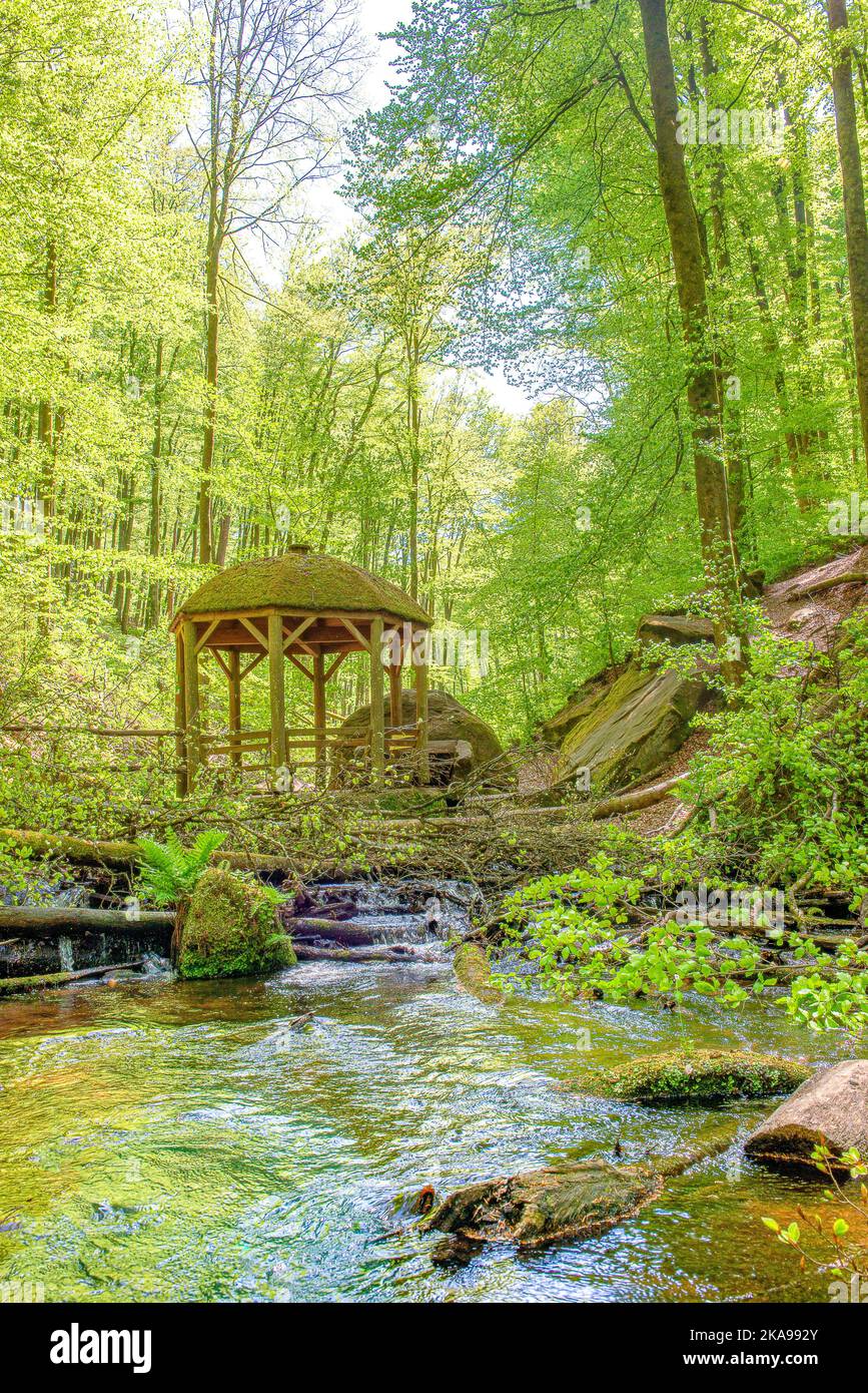 A mossy gazebo in a forest near a river Stock Photo - Alamy