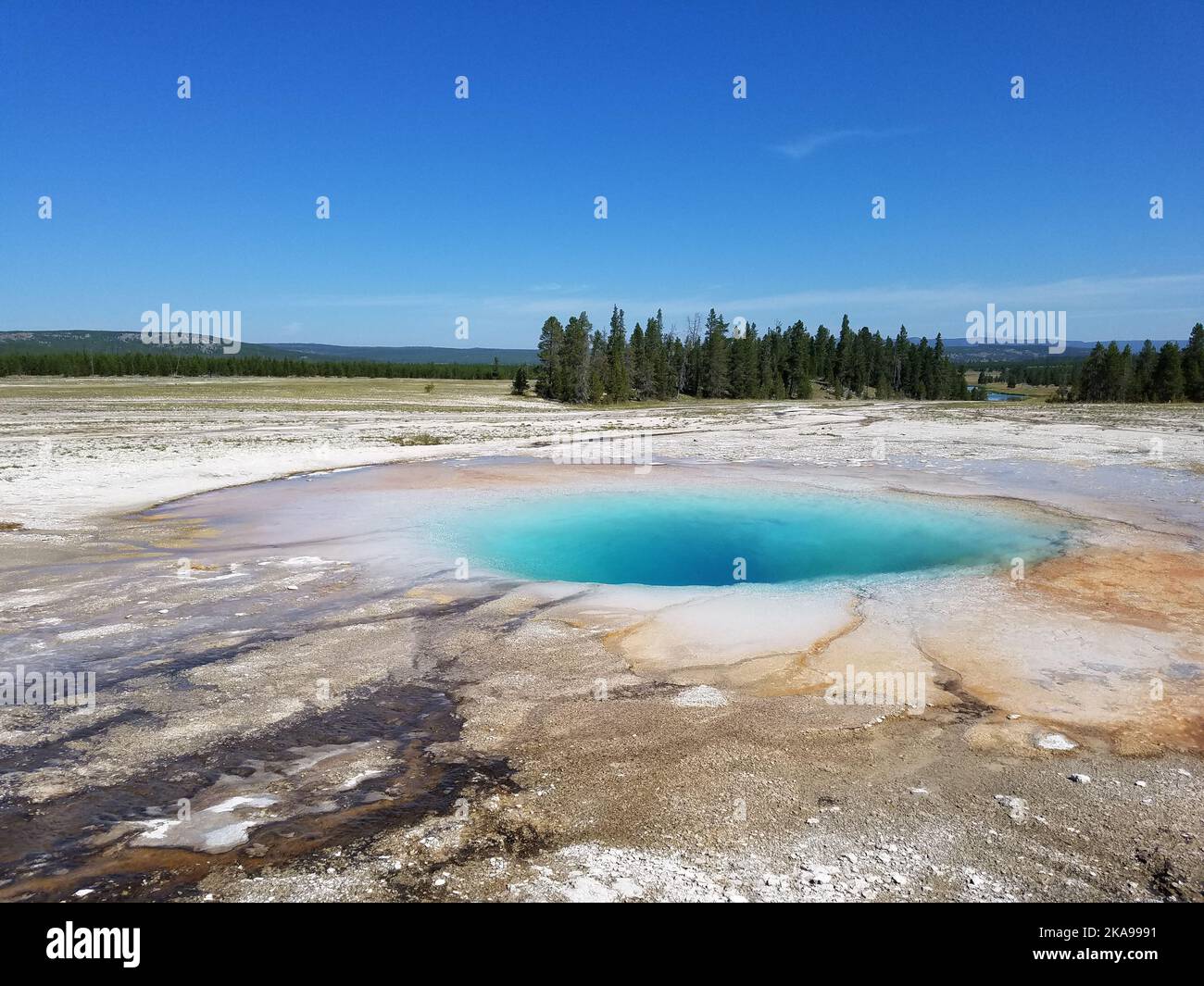 A mesmerizing landscape of a geyser in Yellowstone National Park Stock ...