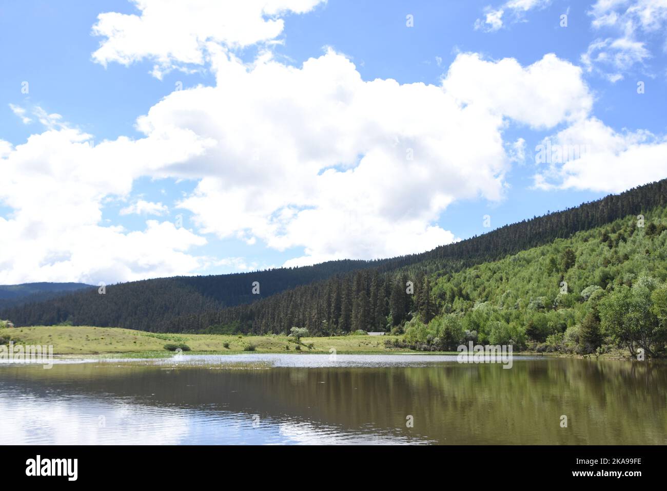 A beautiful view of a calm lake surrounded by trees under a cloudy sky ...
