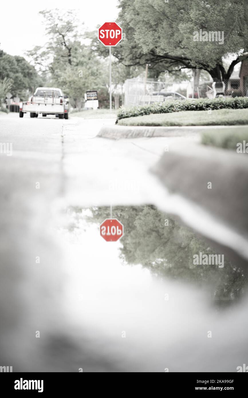 A stop sign reflected in a water puddle in the street in Dallas, TX ...