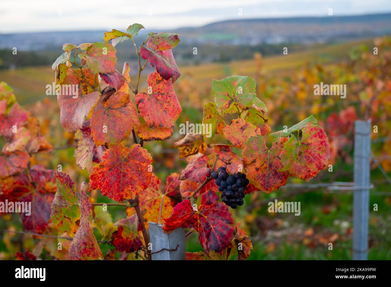 Meunier industry hi-res stock photography and images - Alamy