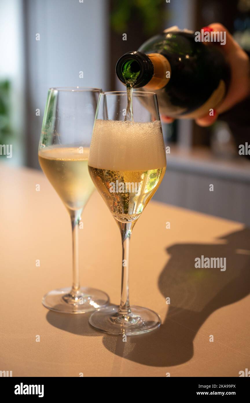 Tasting of brut and reserve grand cru champagne sparkling wine produced by traditional method in ...