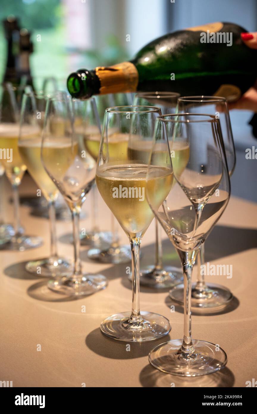 Tasting of brut and reserve grand cru champagne sparkling wine produced by traditional method in ...