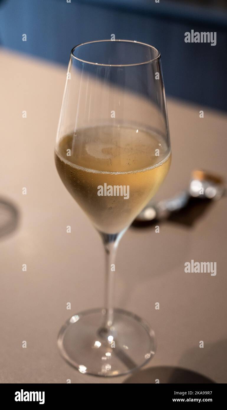 Tasting of brut and reserve grand cru champagne sparkling wine produced by traditional method in ...