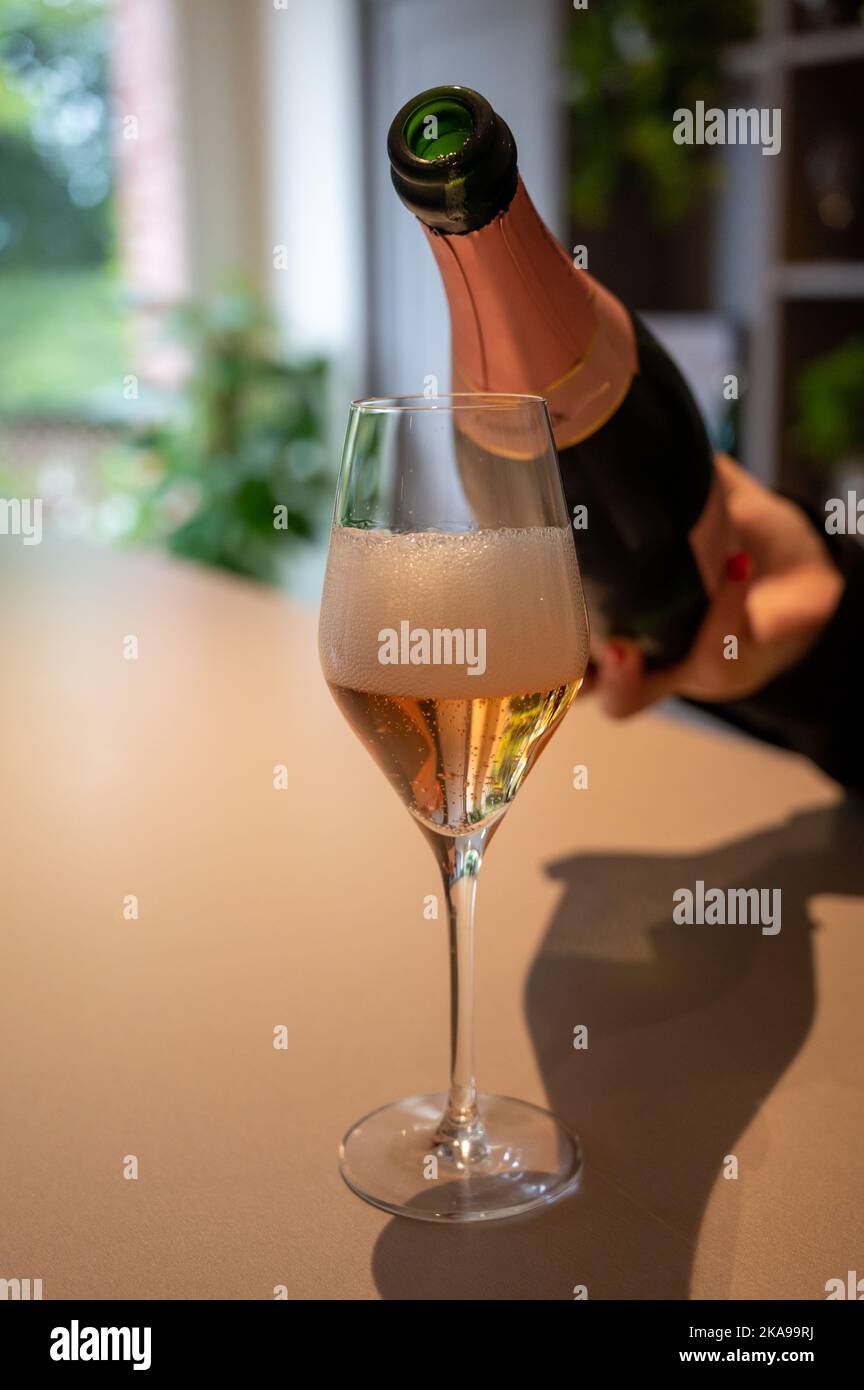 Tasting of rose champagne sparkling wine produced by traditional method in underground caves in ...