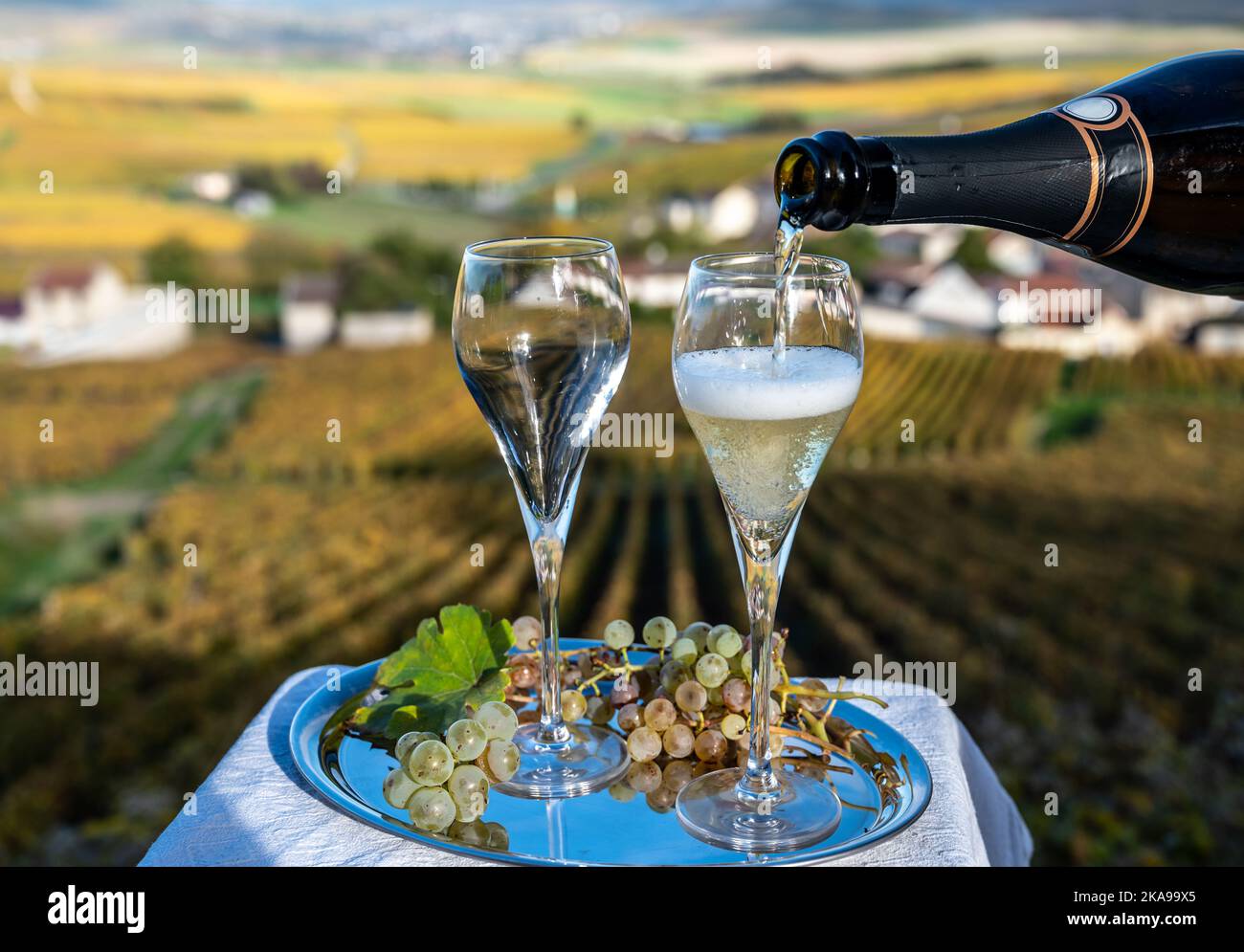 Tasting of french sparkling white wine with bubbles champagne on ...
