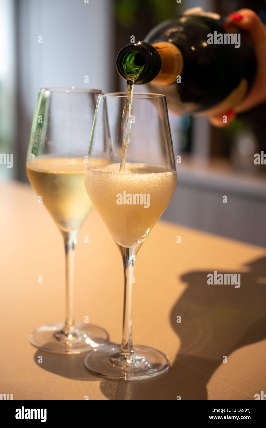 Tasting of brut and reserve grand cru champagne sparkling wine produced by traditional method in ...